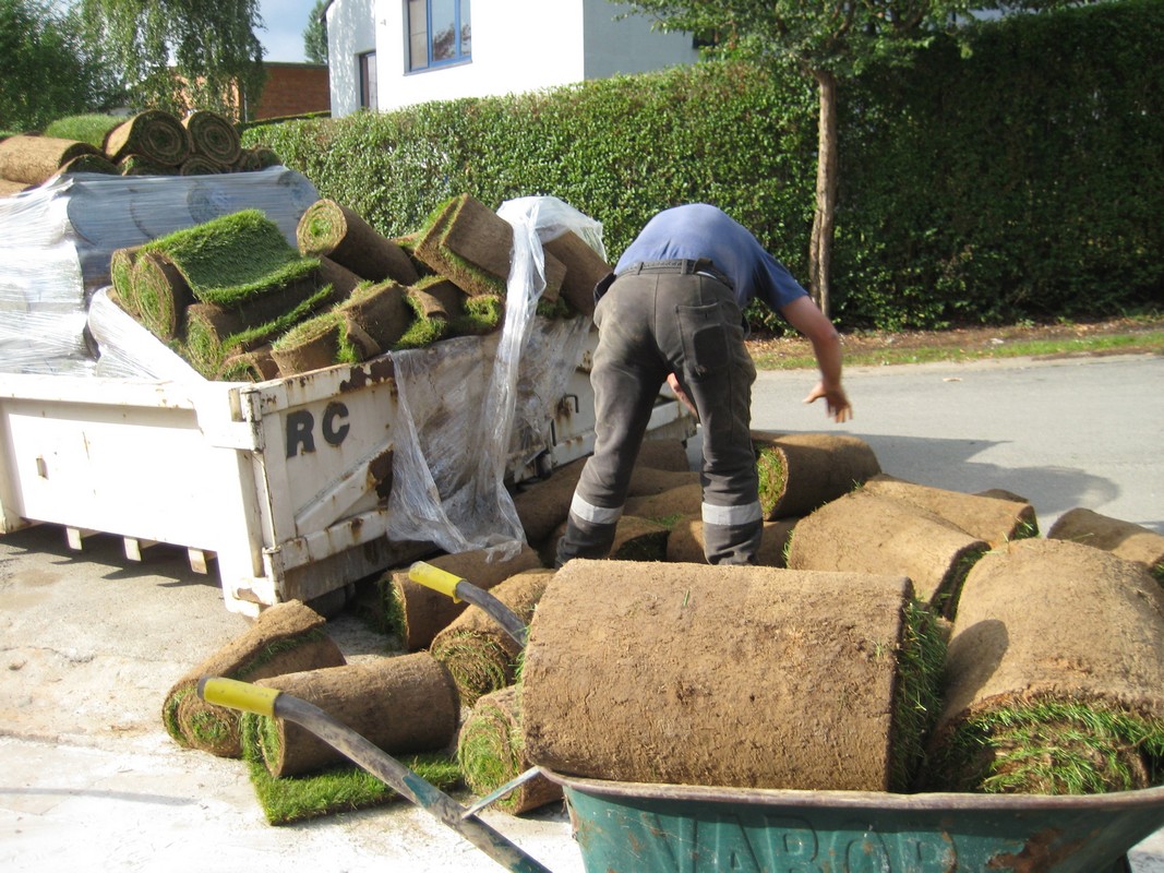 Pelouse – gazon – Parcs et jardins – Jean-Marc Thonard