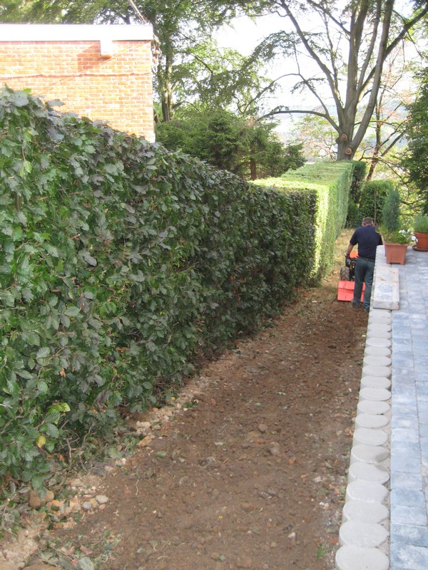 Pelouse – gazon – Parcs et jardins – Jean-Marc Thonard