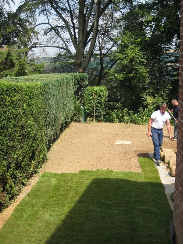 Pelouse – gazon – Parcs et jardins – Jean-Marc Thonard